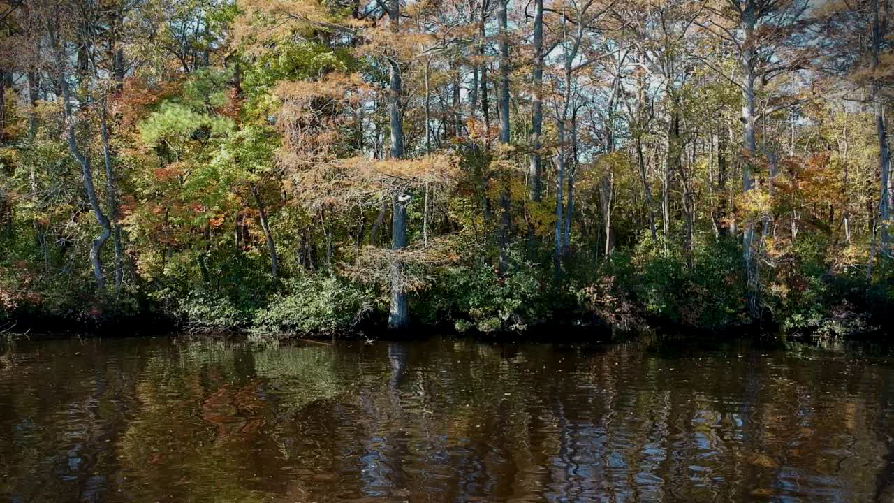 Haunted Delmarva: Pocomoke Forest - 47abc