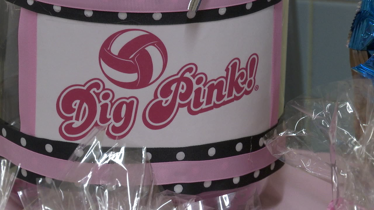Parkside hosts inaugural Dig Pink game for Brooke Mulford Foundation ...
