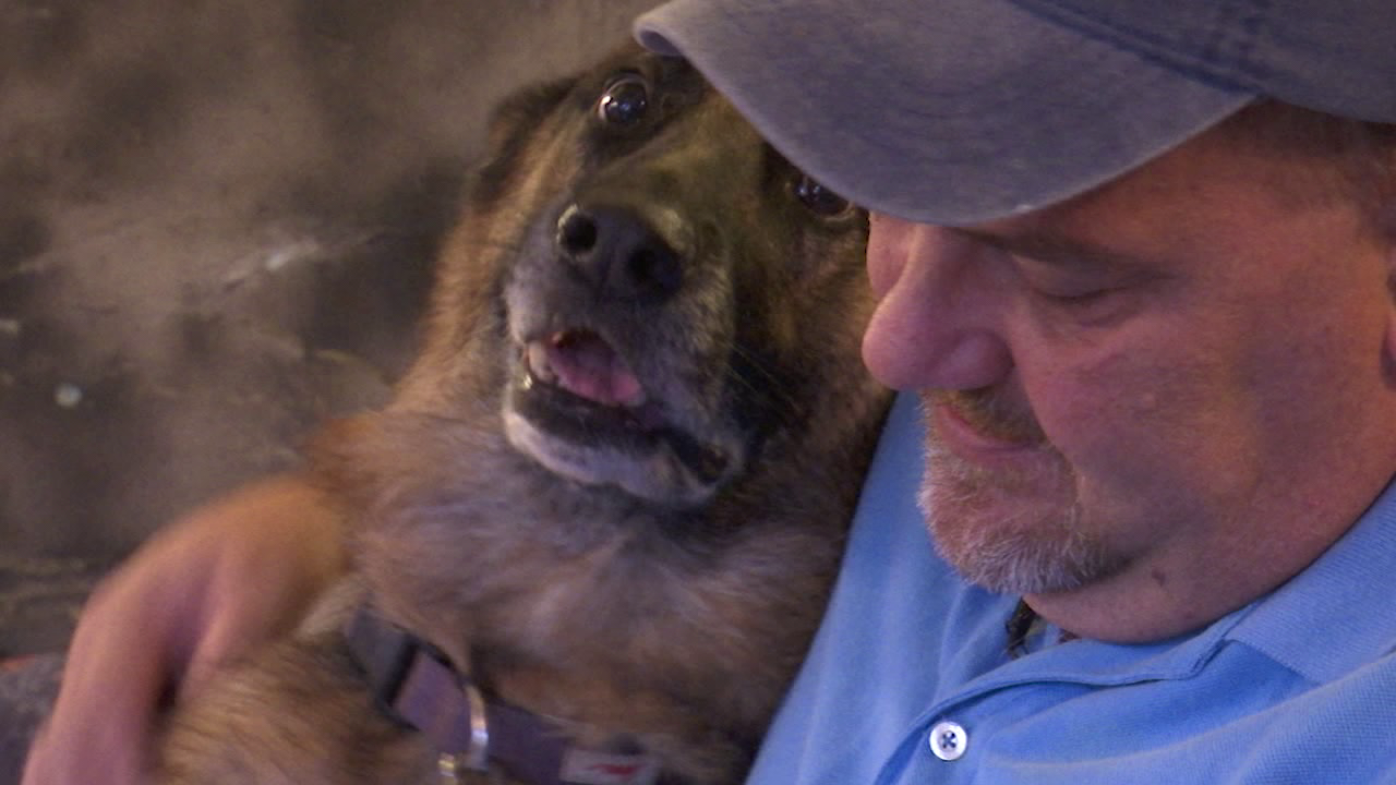Rescued dog ends up saving the lives of her adopters - 47abc