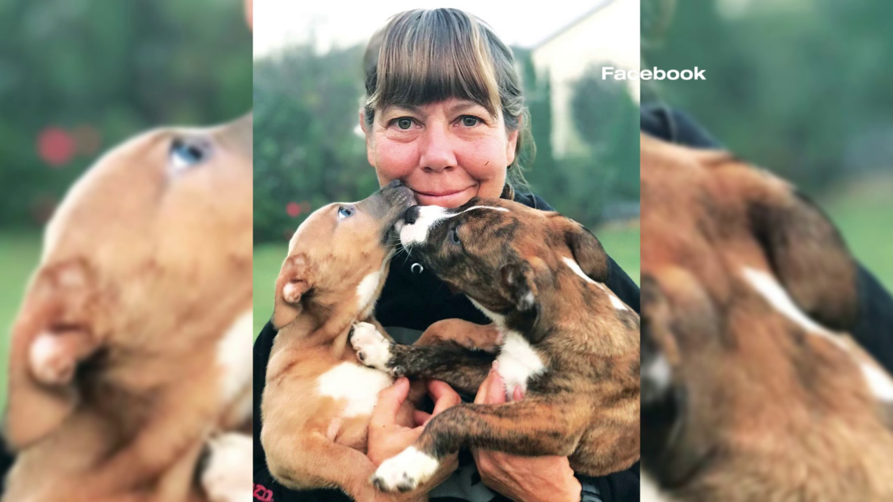 Berlin woman works to rescue animals on the Eastern Shore - 47abc
