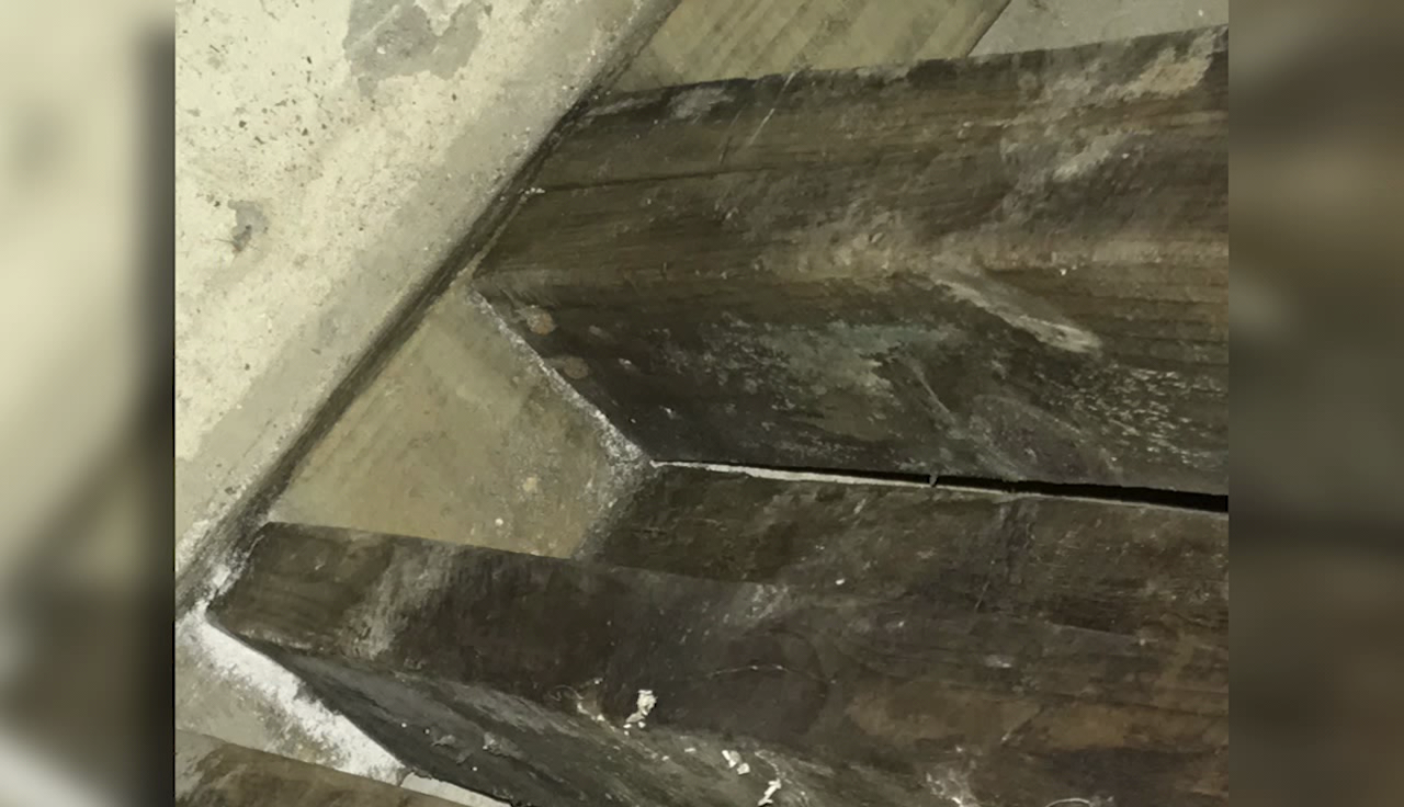 Experts offering tips to prevent mold in homes during humid days - 47abc