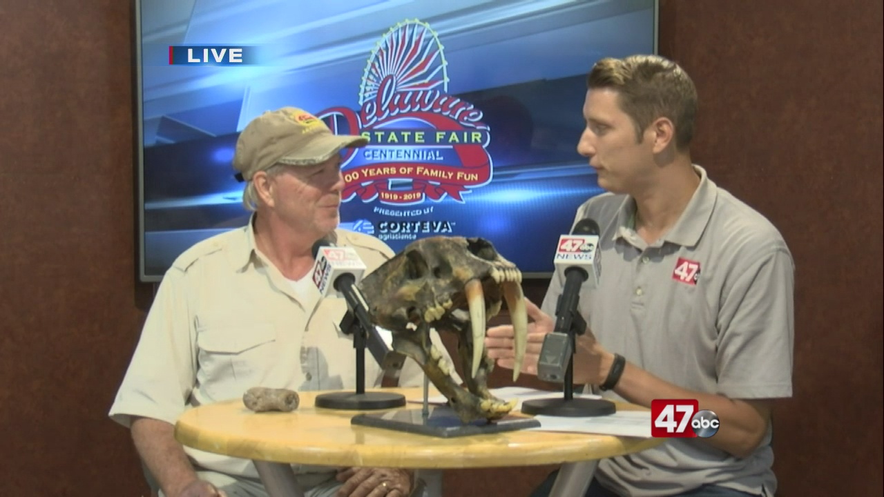 Dinosaur Exhibit at the Delaware State Fair - 47abc