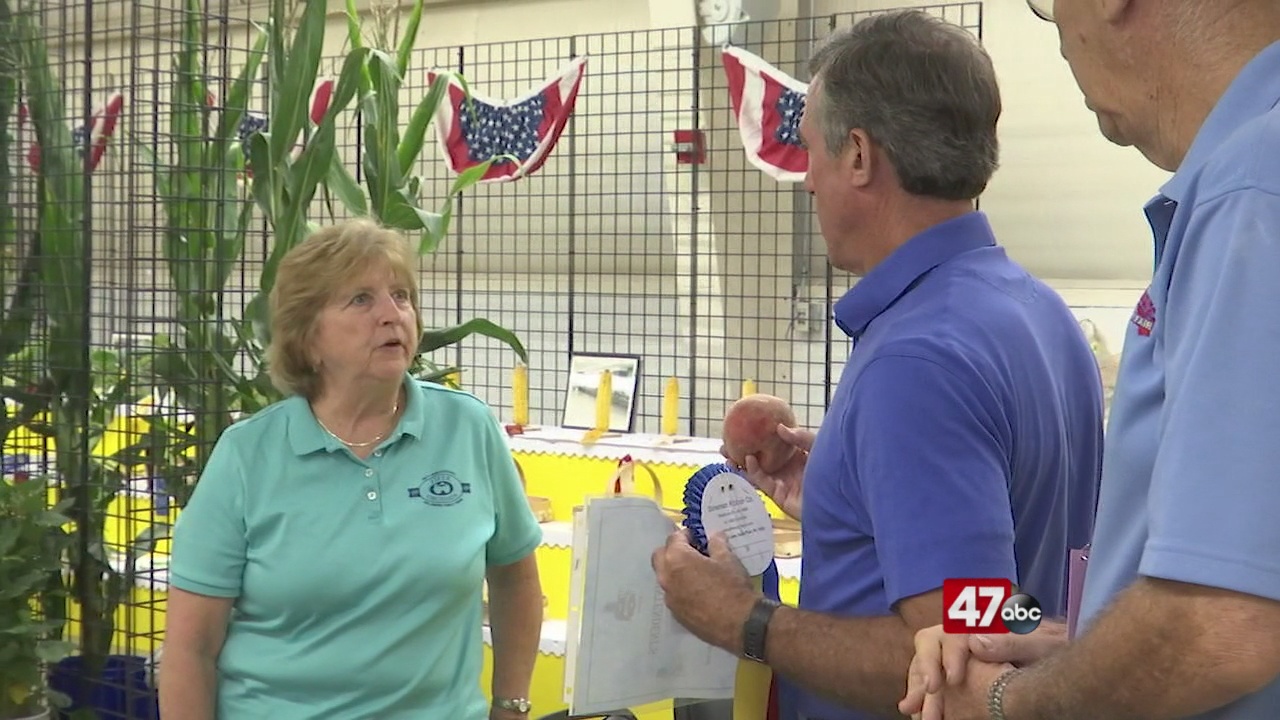 Gov. Carney celebrates 100th year of Delaware State Fair - 47abc