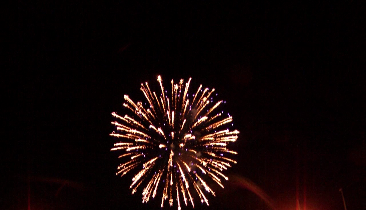 Experts offer firework safety tips for those with PTSD, or pets - 47abc