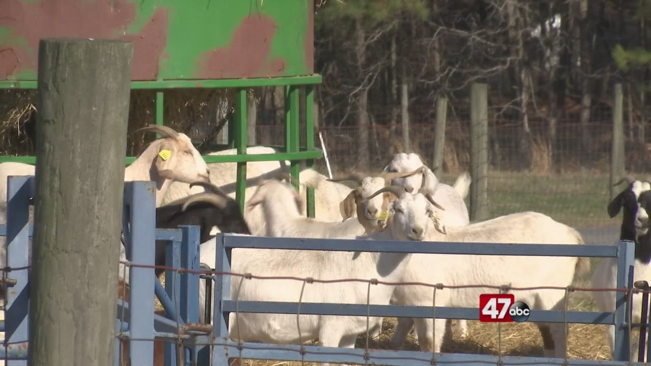 Farmers can look forward to new UMES building - 47abc