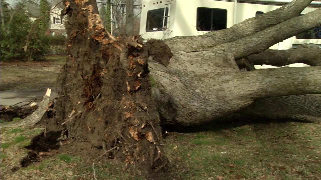 Storm wreaks havoc on Delaware, leaves downed trees on homes - 47abc