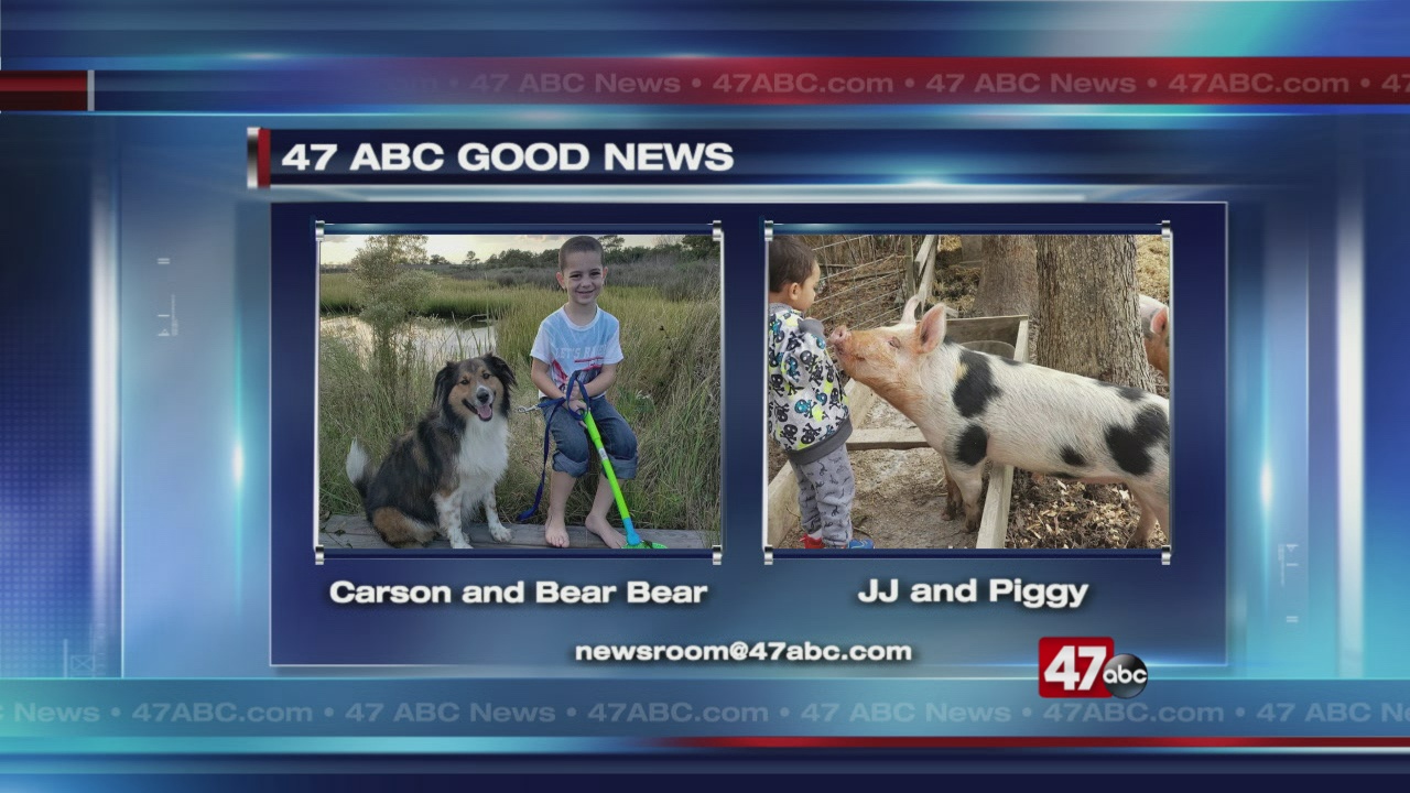 Local 47 ABC fans share pictures of family pets - 47abc