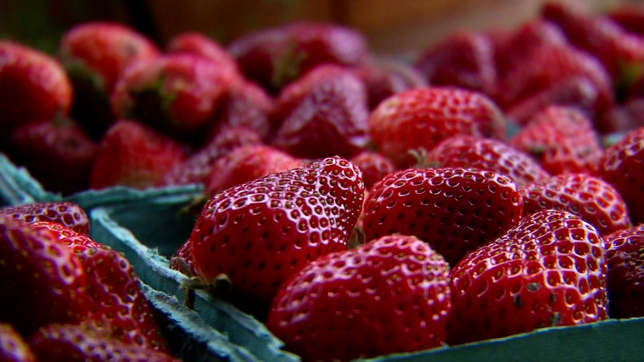 Butler's Farm Market begins strawberry season - 47abc