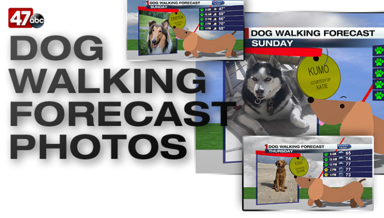 Dog Walking Forecast - 47abc