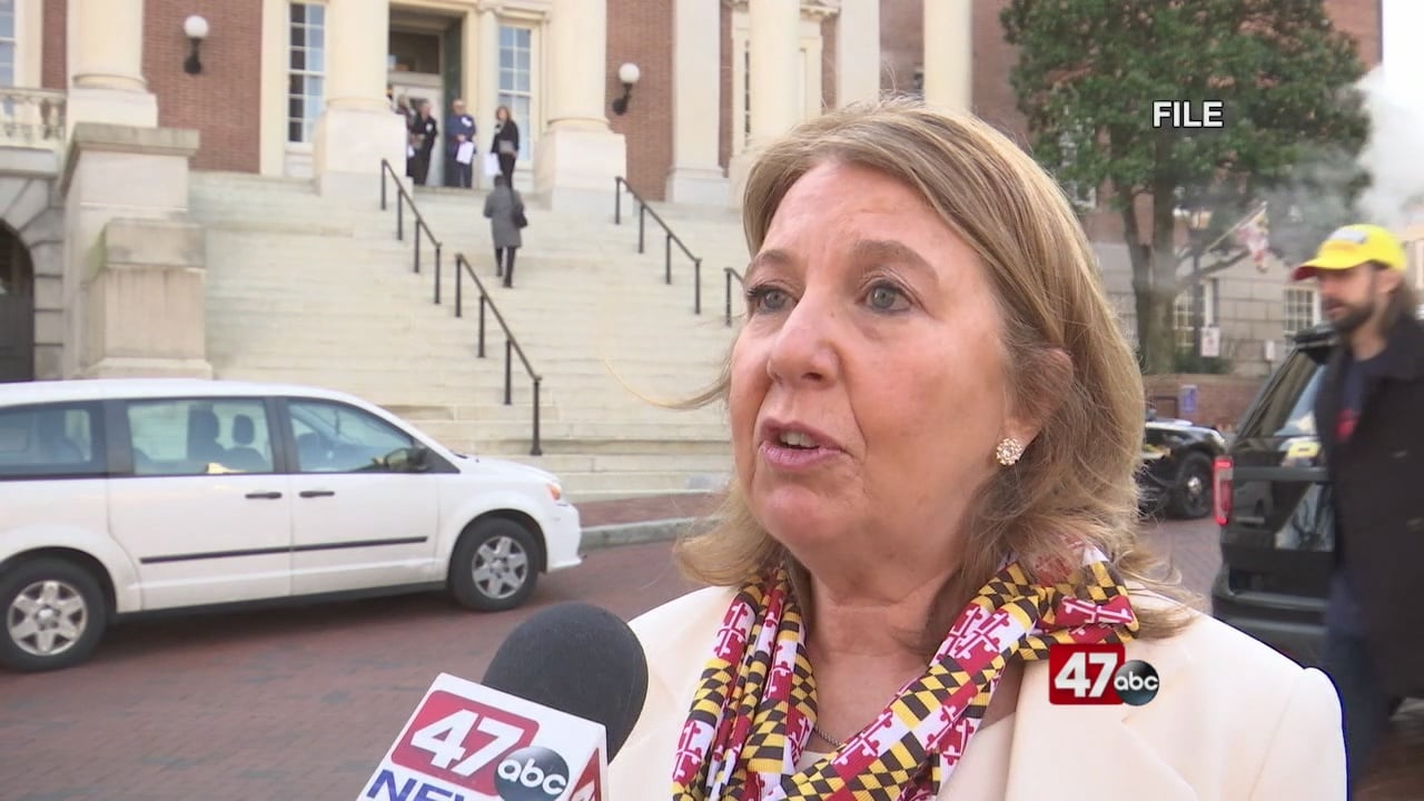 Women's History Month: Sen. Carozza shares her pathway to public ...