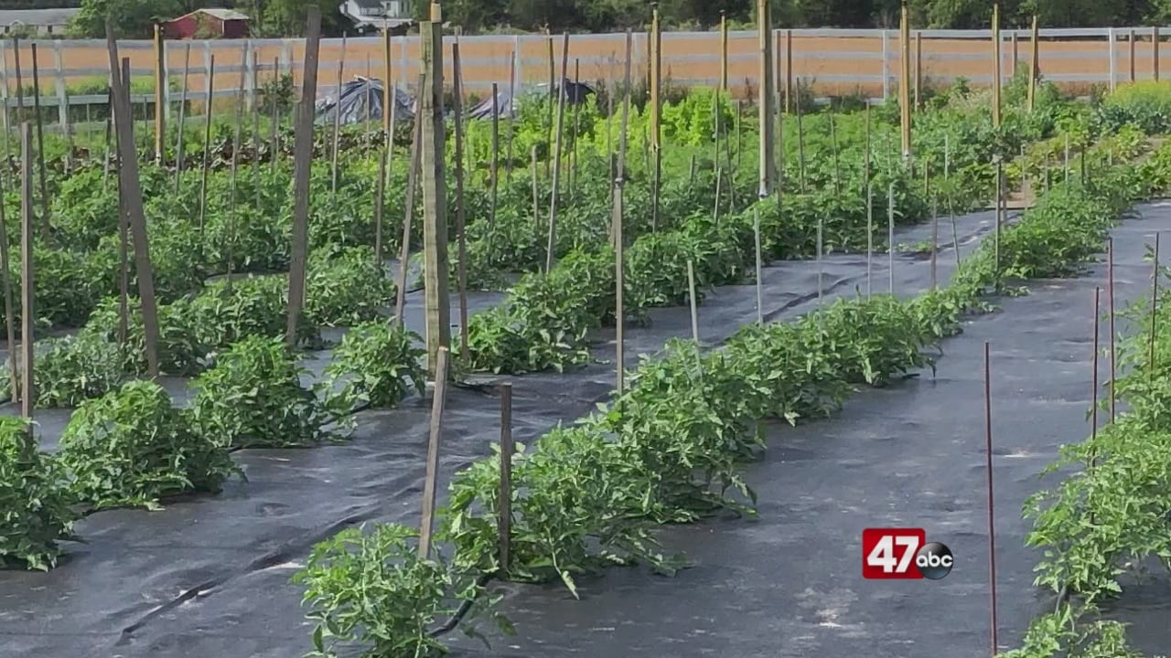 Live Green: Hook Family Farm - 47abc