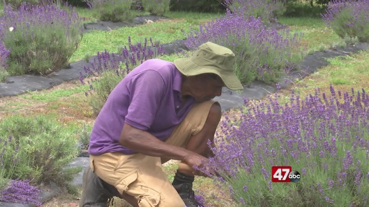 Rep. Lisa Blunt Rochester pushes for paid family leave expansion - 47abc