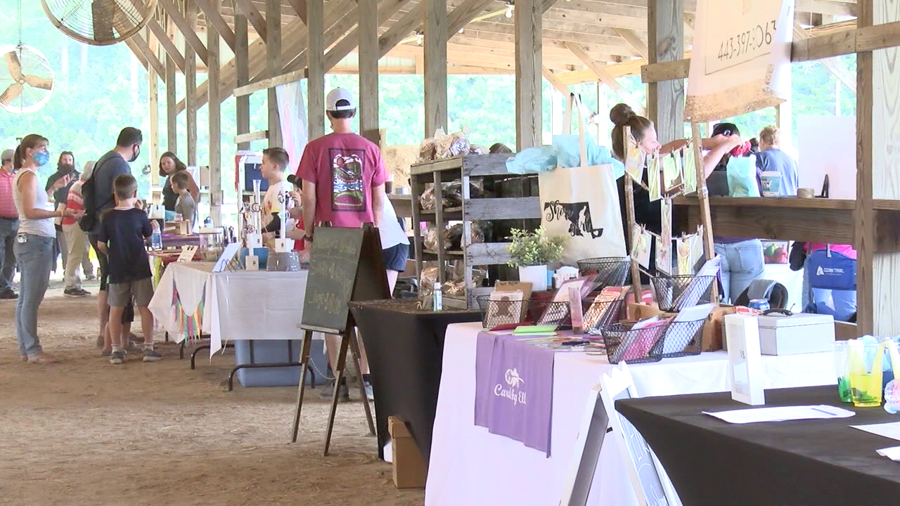 Children's business fair showcases entrepreneur skills and kids ready ...