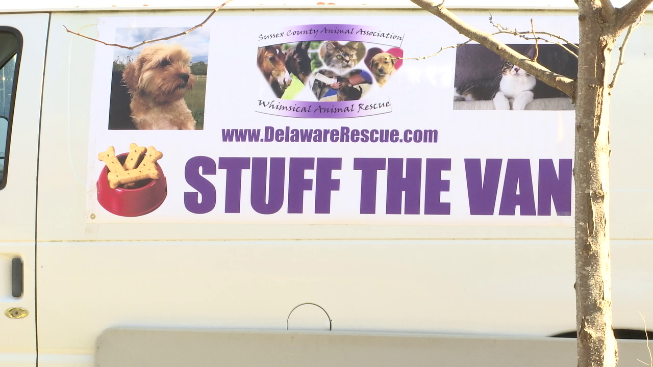 Animal rescue organization helps find animals forever homes, with the ...