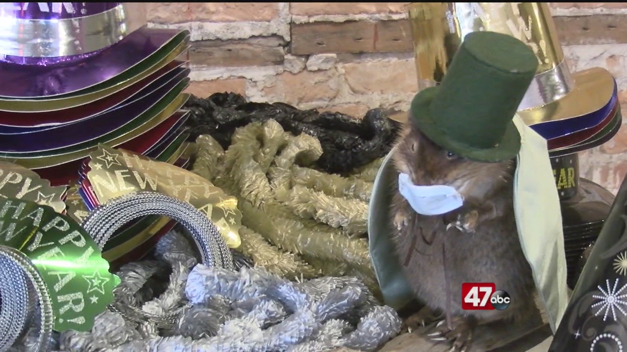 Princess Anne New Years Muskrat Dive returns in-person - 47abc