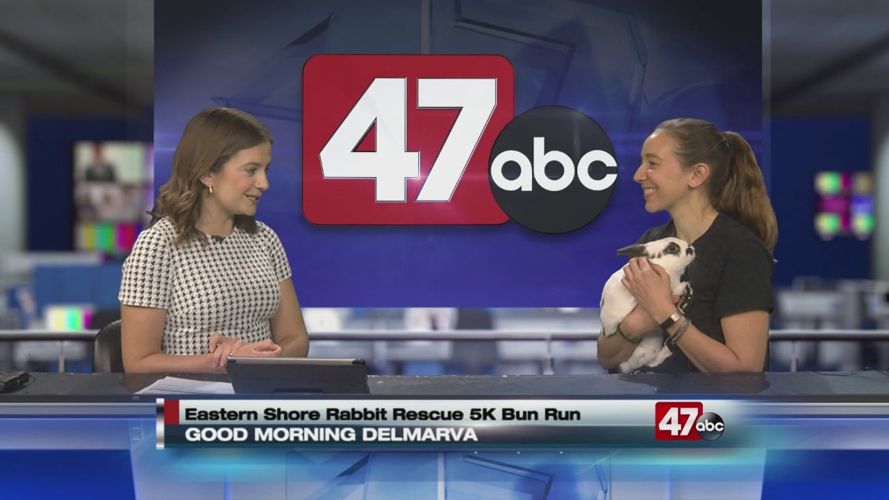 2022 Bun Run kicks off Saturday April 16th - 47abc