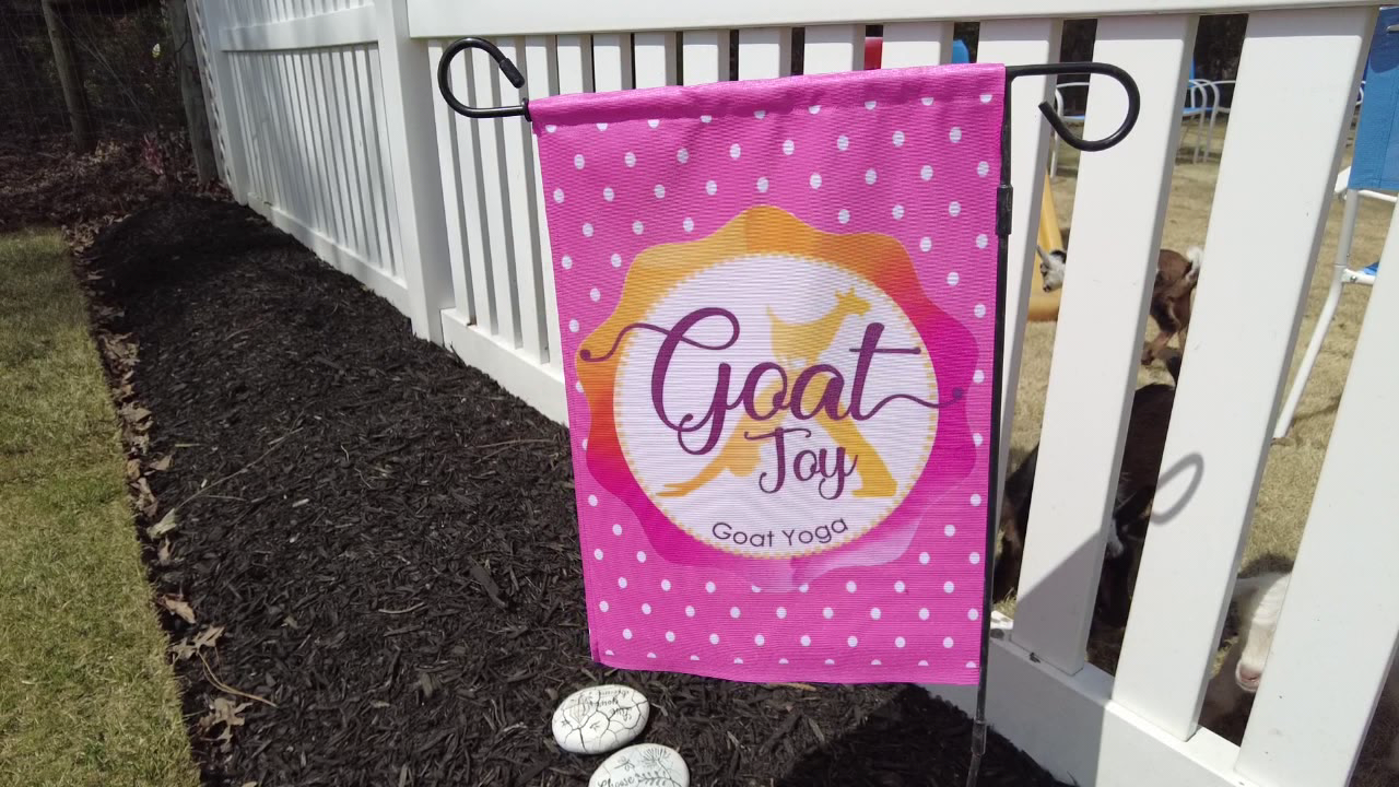 Goats bringing joy to people, goat farm growing - 47abc