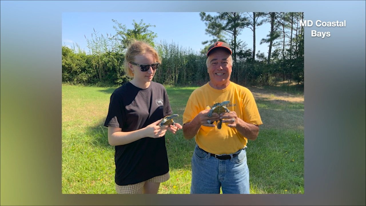 Keeping wildlife in the wild - 47abc