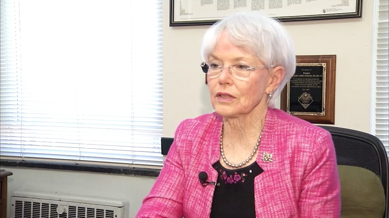 Sen. Addie Eckardt says her focus shifts to nursing following defeat in ...