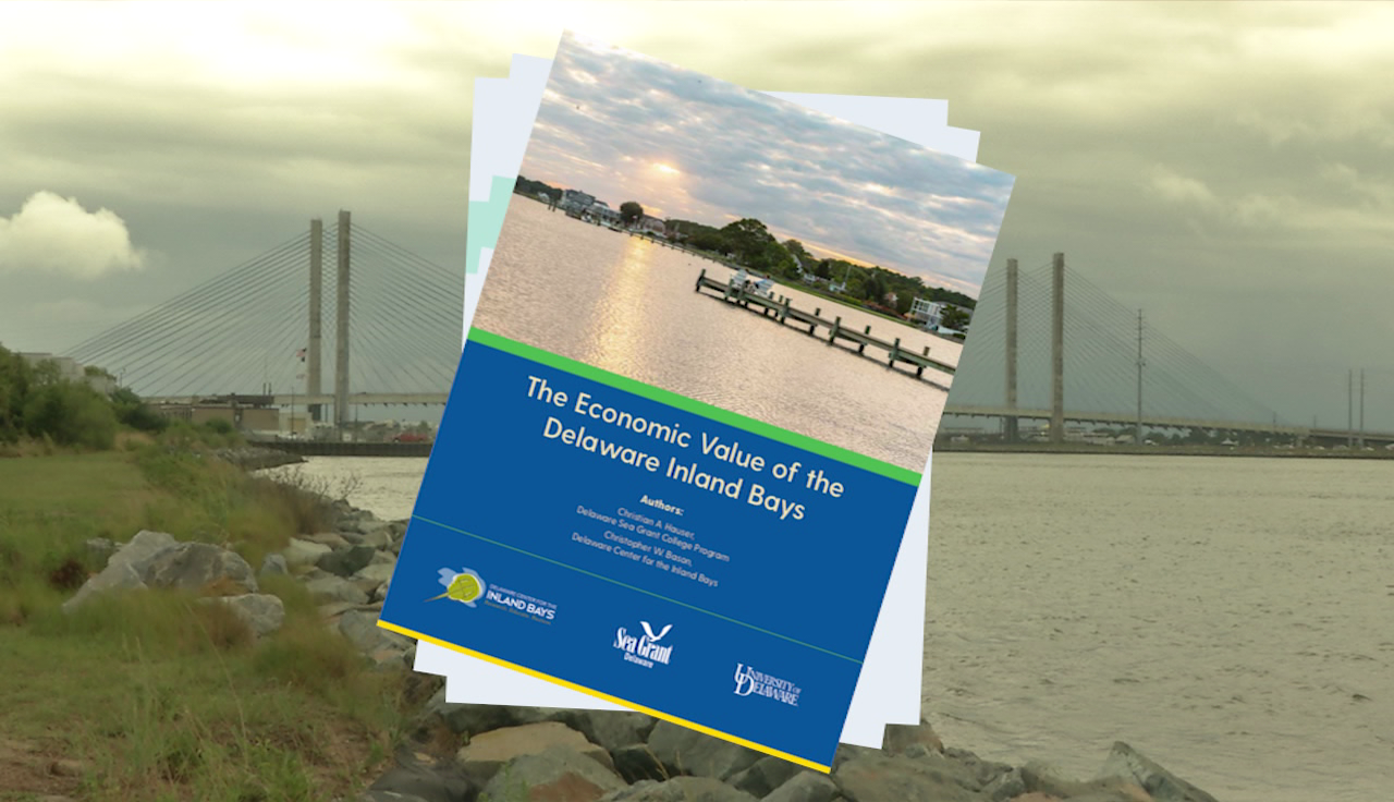 Researchers release first-ever report on economic value of Del. Inland ...