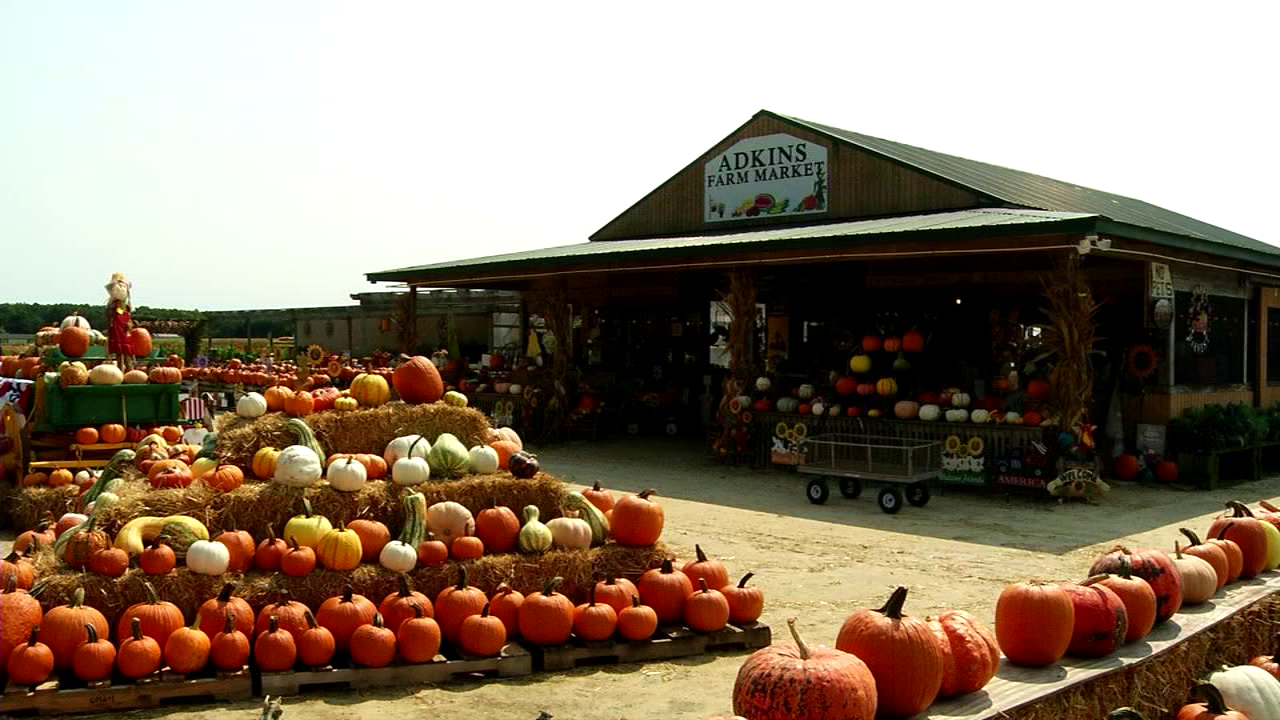 Farm markets prepare for pumpkin season, inflation/weather conditions ...