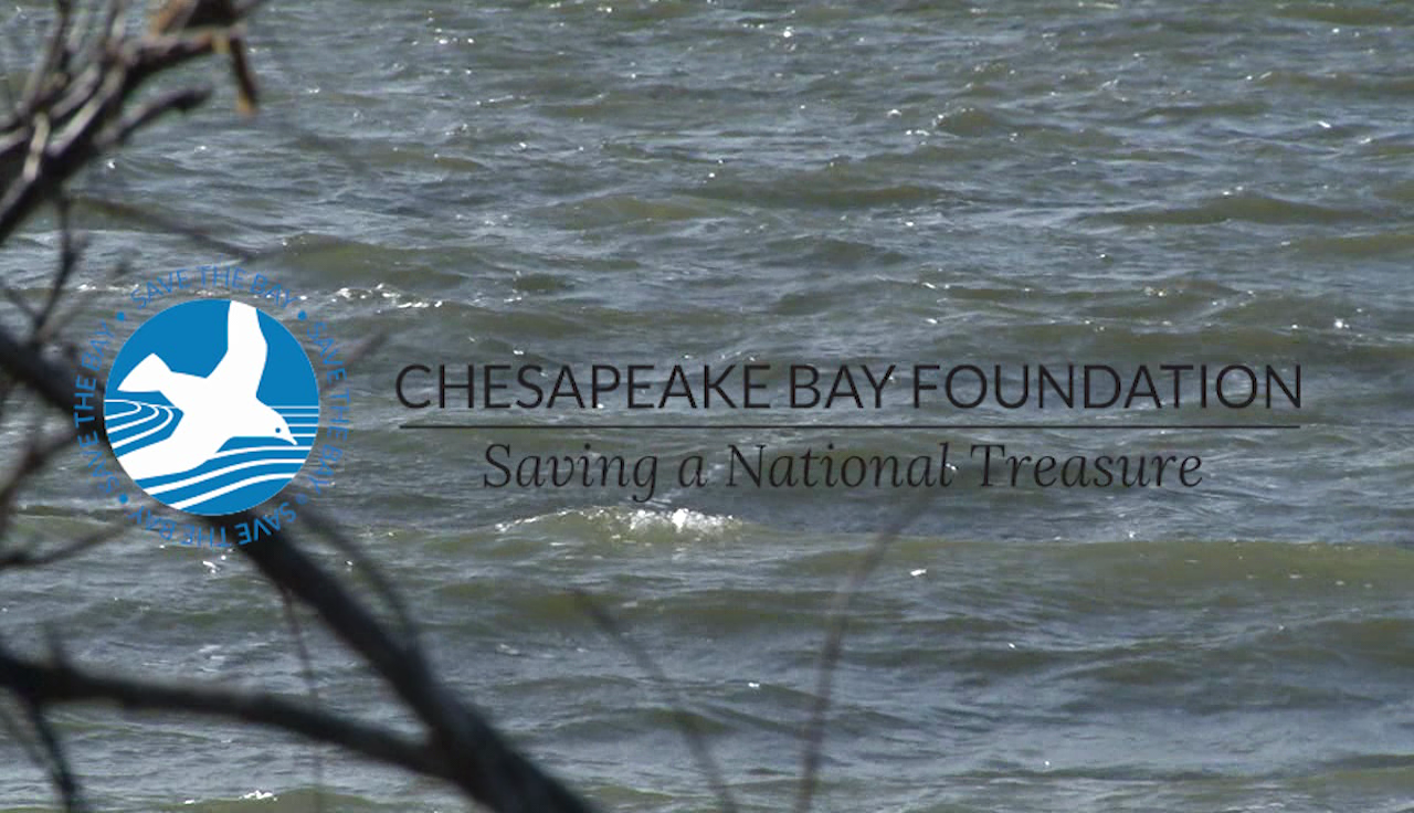 Chesapeake Bay Foundation releases report on environmental investments ...