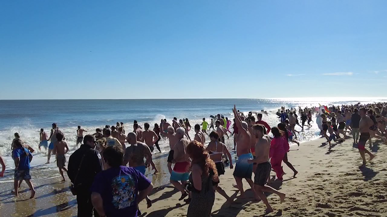 "It's just mind over matter:" 29th annual Penguin Swim makes big splash ...