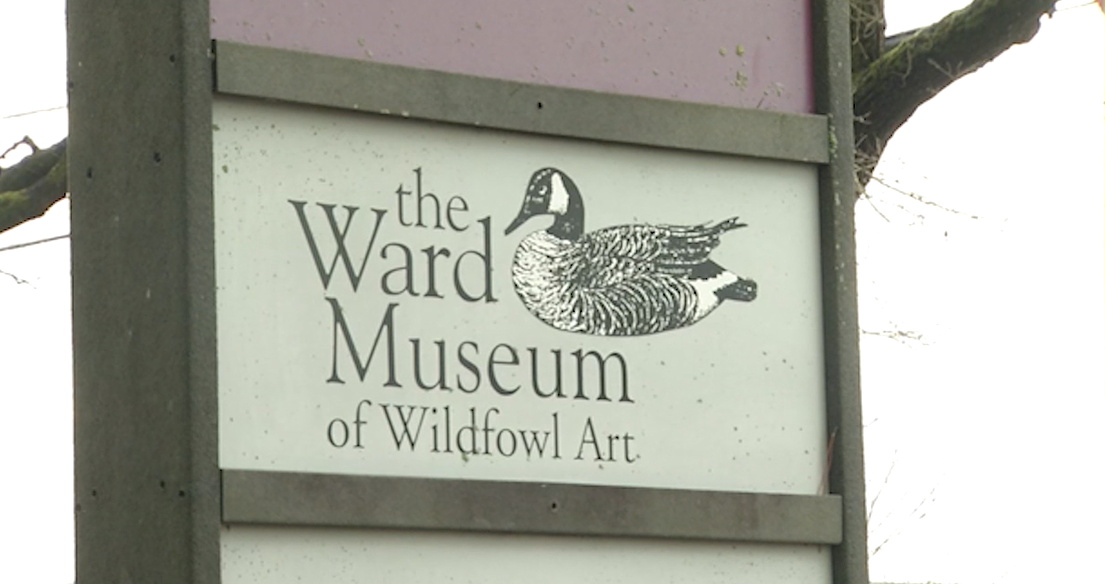 Ward Museum concerns mount after new location announced by Salisbury ...