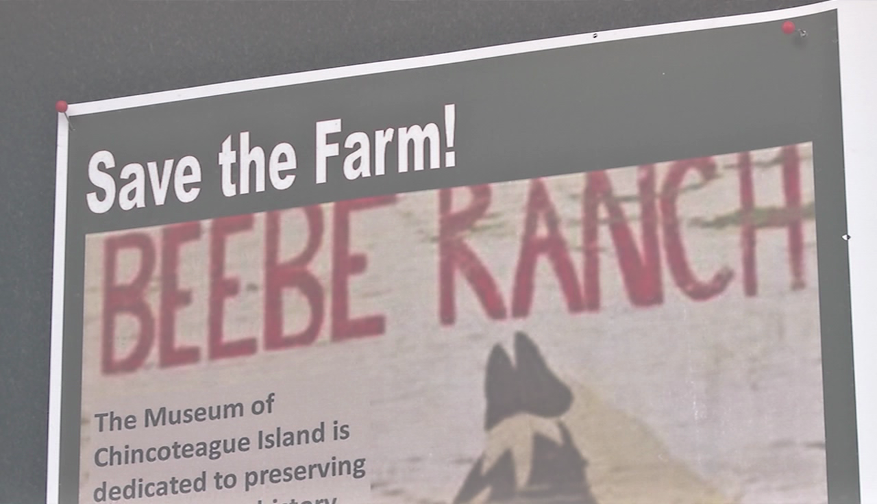 Museum of Chincoteague Island to close deal on Beebe Ranch purchase - 47abc
