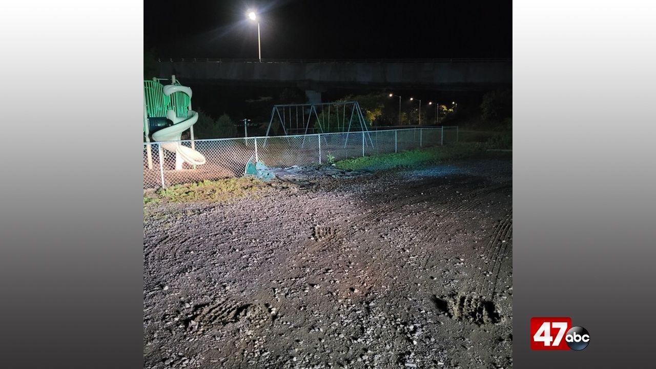 Portable toilets catch fire at Sharptown park, fire marshals ...