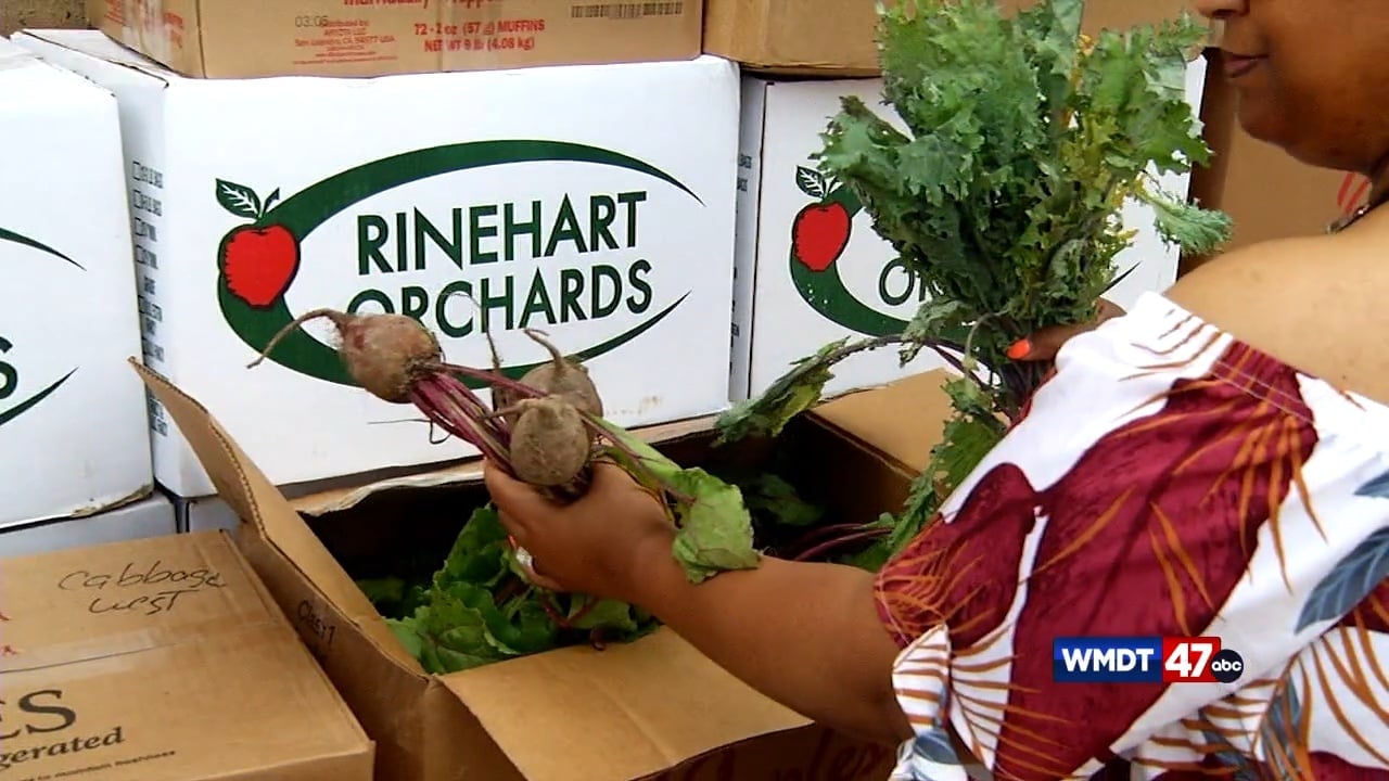 ECI Garden Harvest program helps feed families in need in Somerset ...
