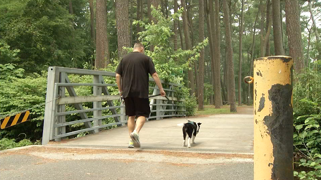 Vet, zookeeper share tips to keeping animals safe amid poor air quality ...