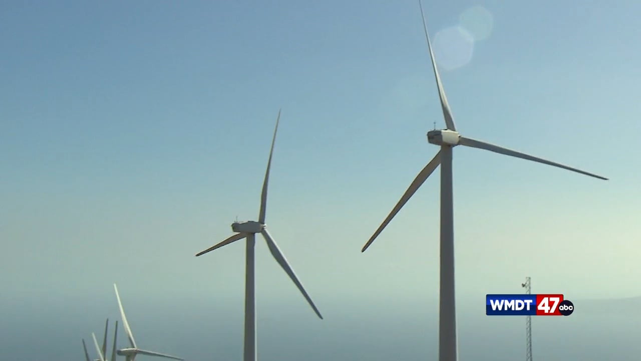 Protestors in Fenwick Island raise concerns over off-shore wind ...