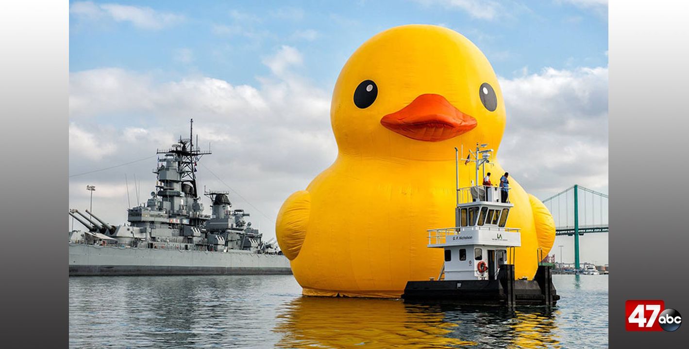 World's Largest Rubber Duck headed to Crisfield - 47abc