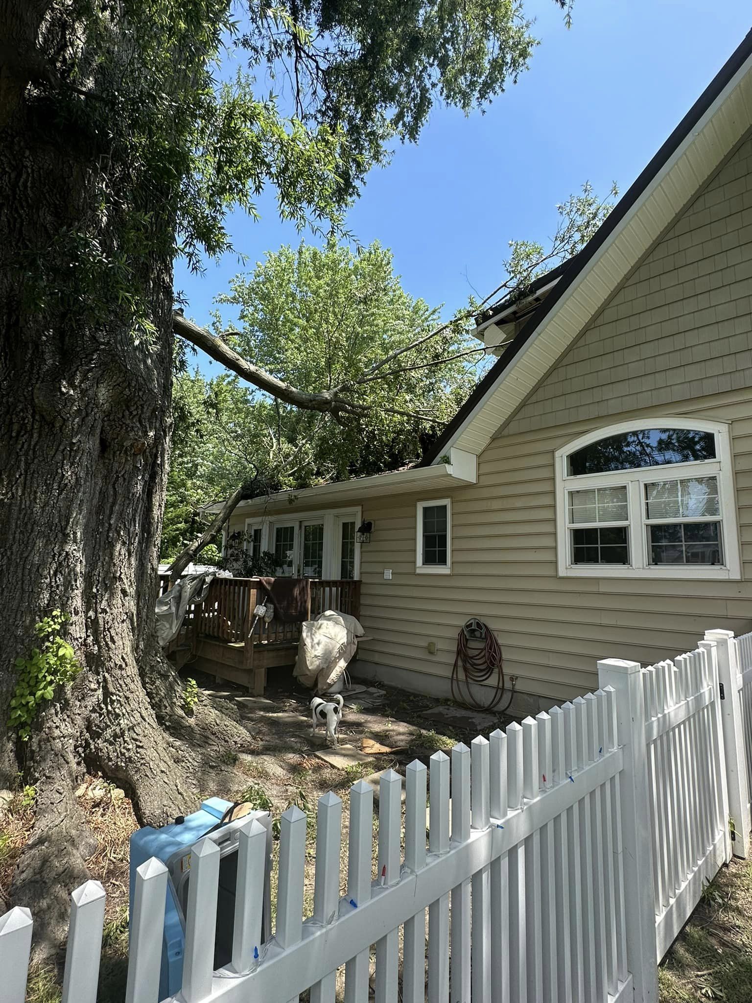 'I wanted to let them know I care:' Del. Tom Hutchinson assisting storm ...