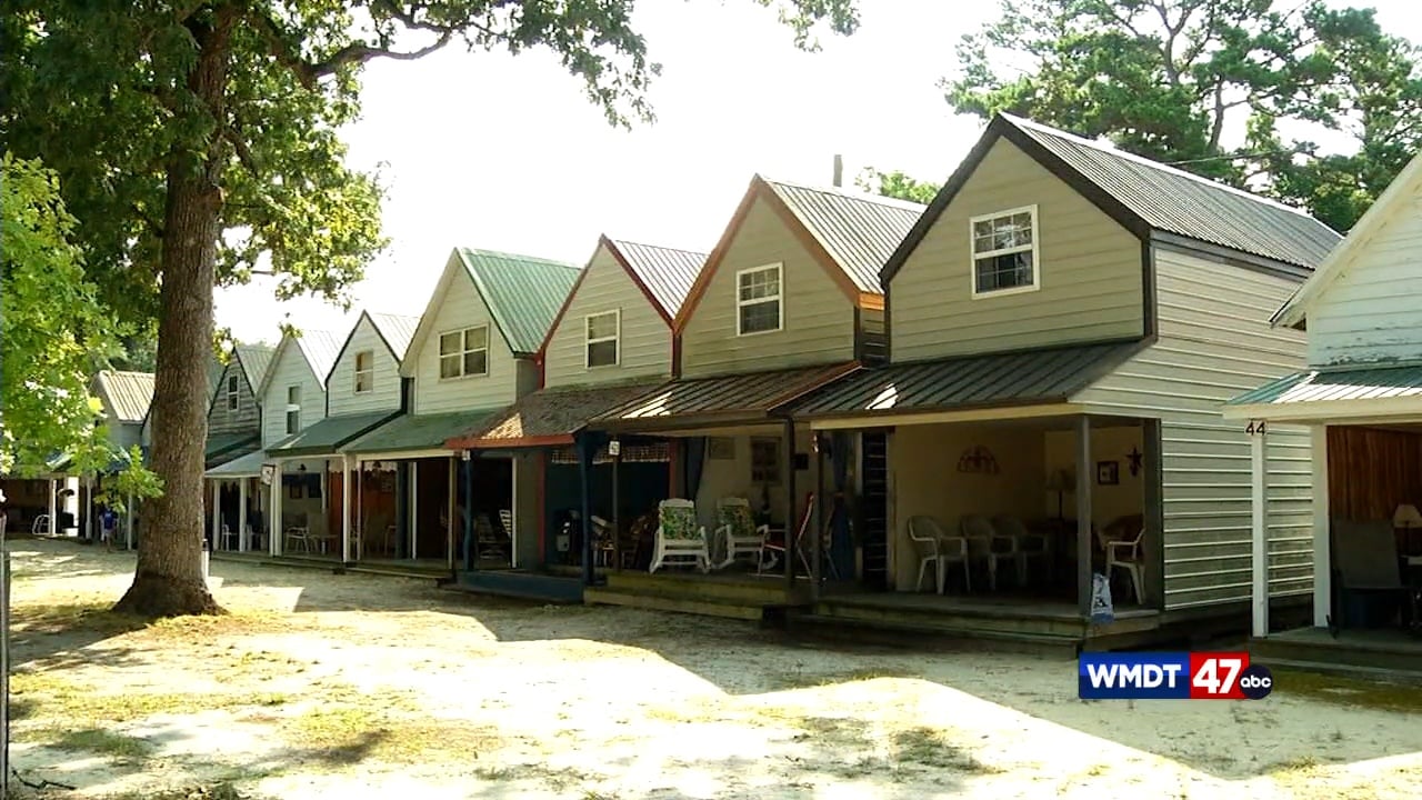 The Brightside: Carey's Camp - 47abc