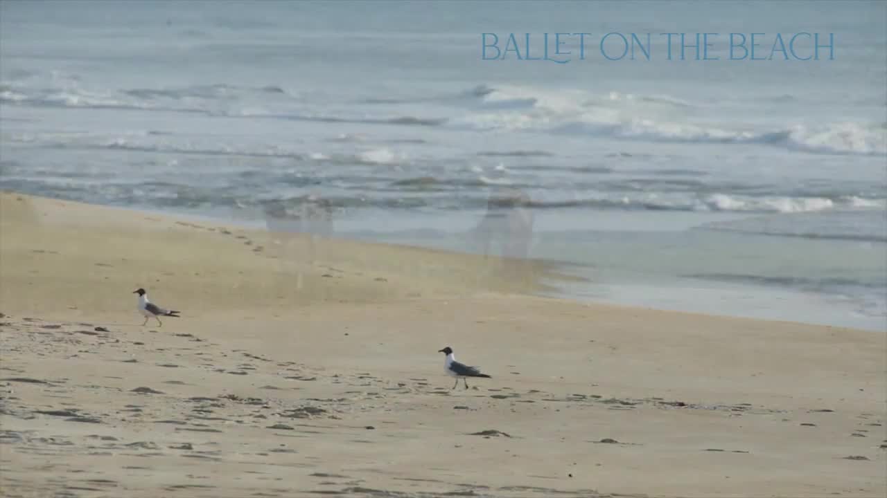 Good Morning Delmarva Discusses Ballet on the Beach - 47abc