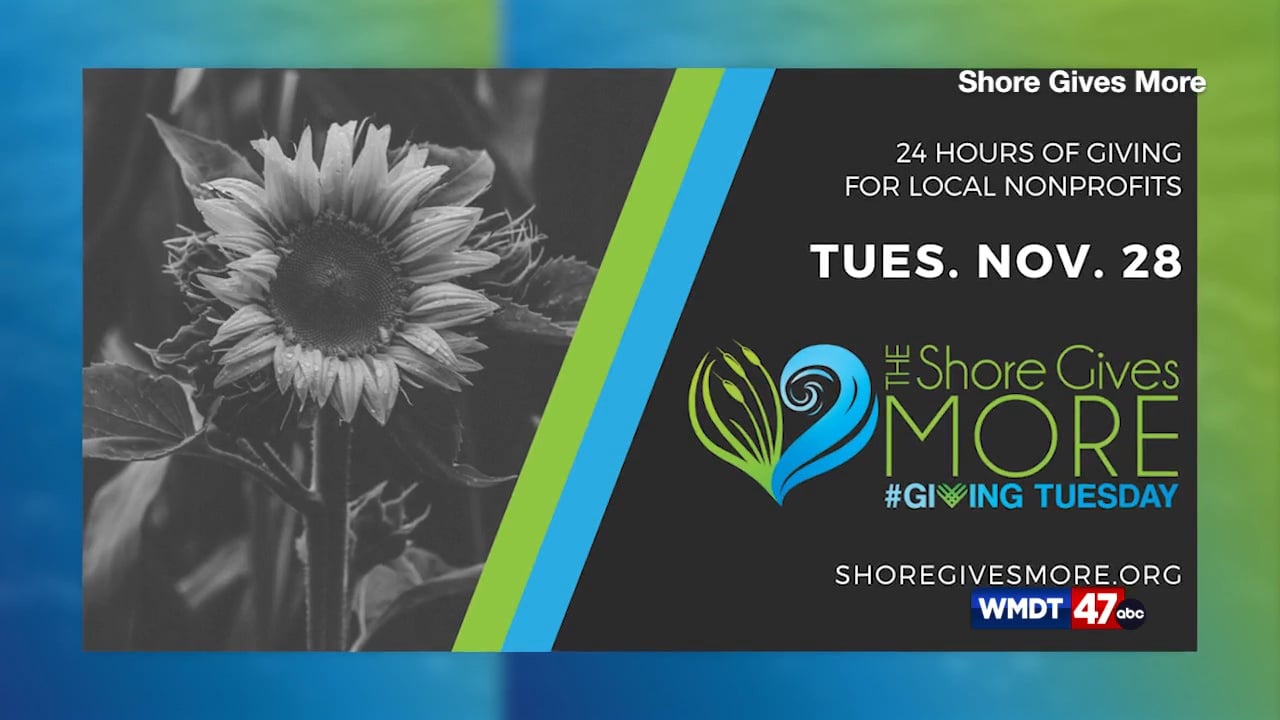 Good Morning Delmarva Discusses Giving Tuesday - 47abc