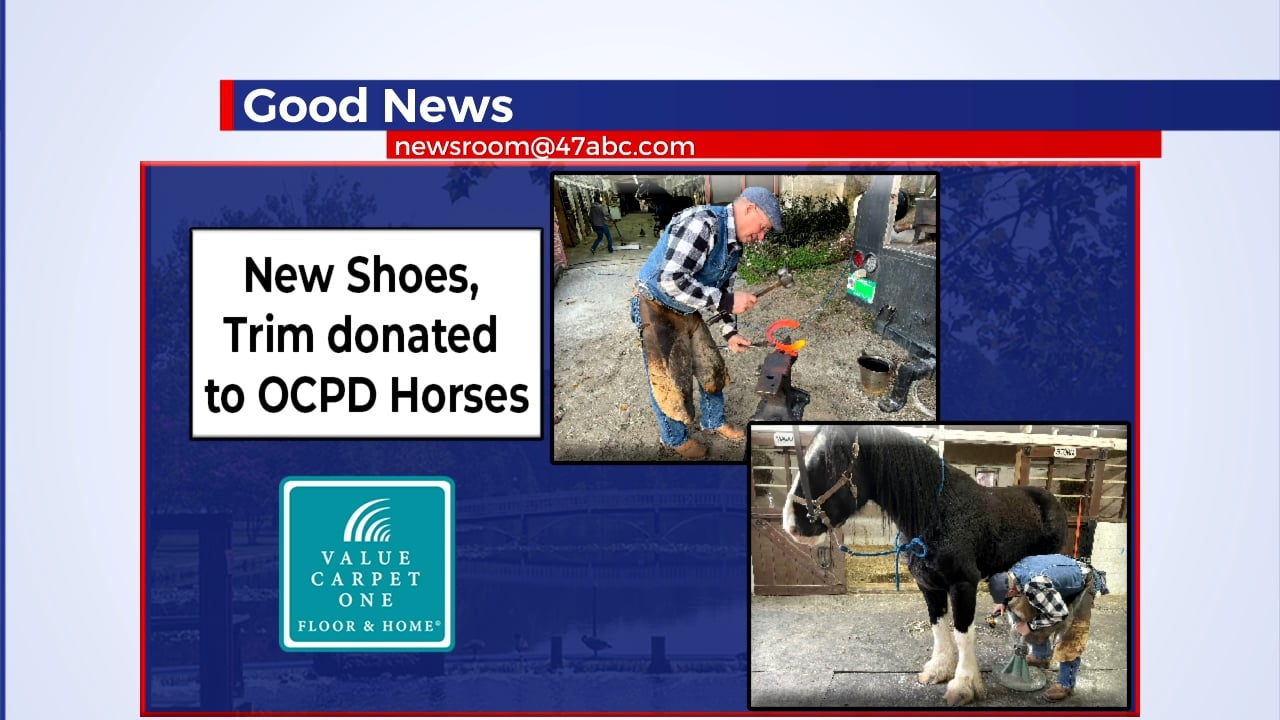 New shoes and trim for OCPD Mounted Division - 47abc