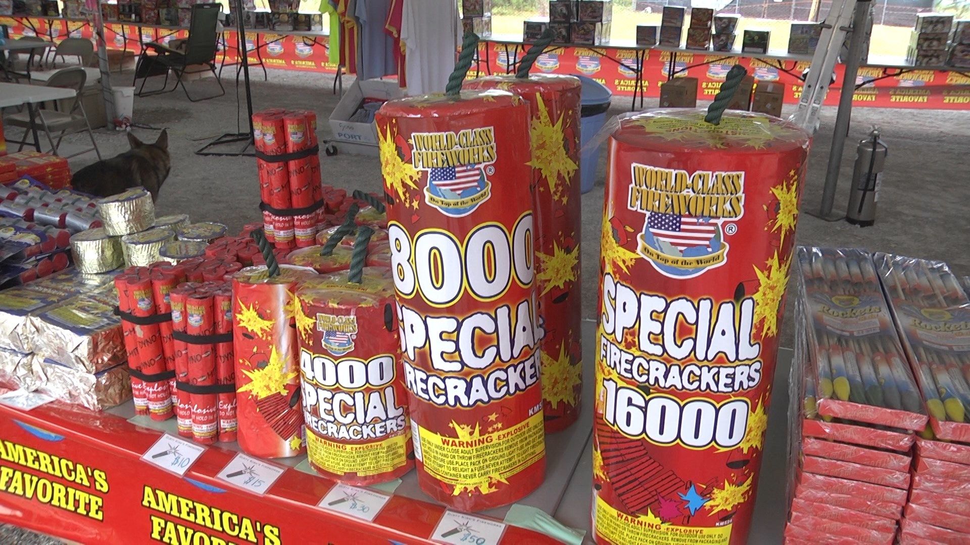 Firework safety tips and laws you need to know ahead of the holi