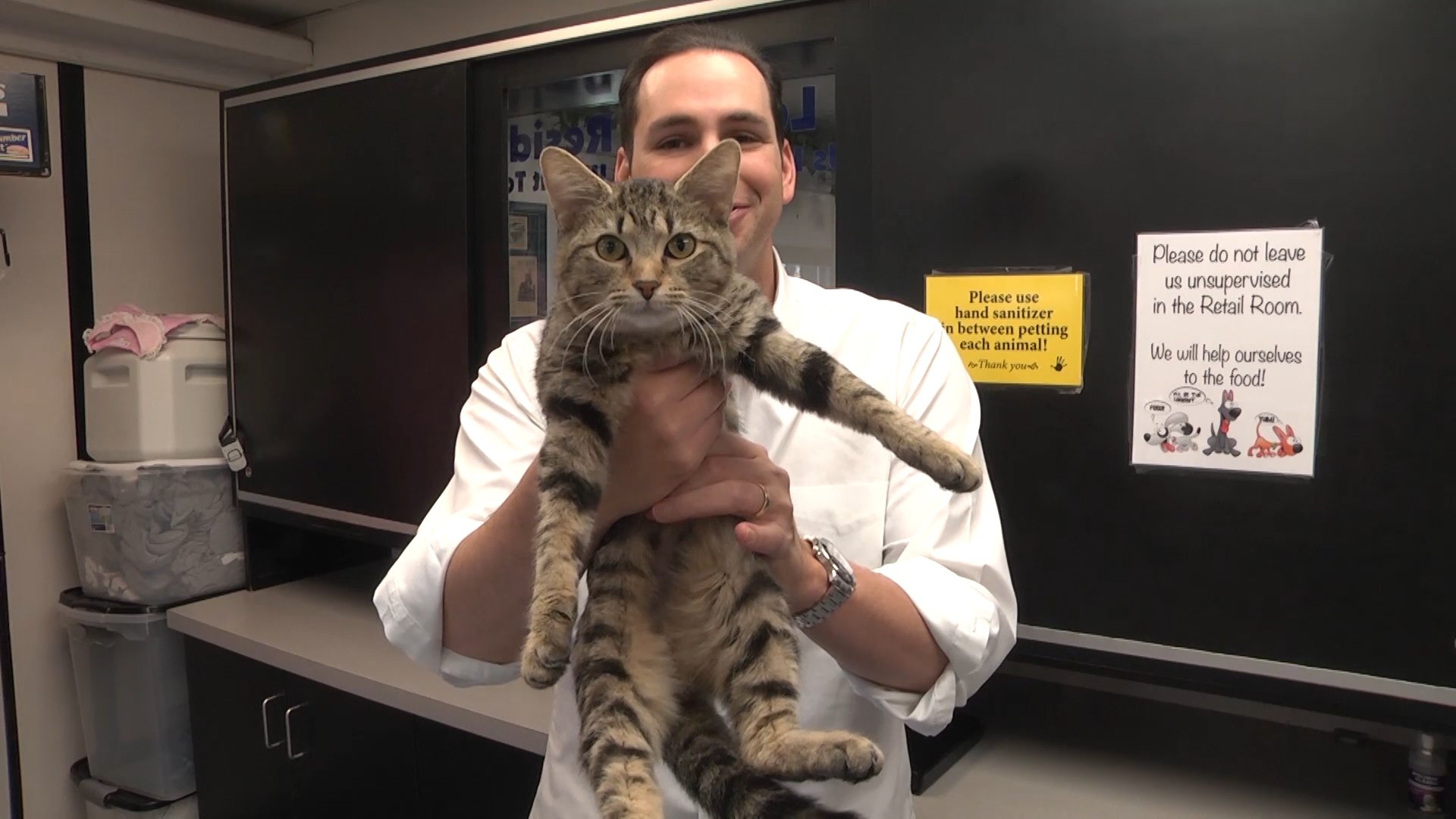 Pet of the Day - Lucy - WNKY News 40 Television