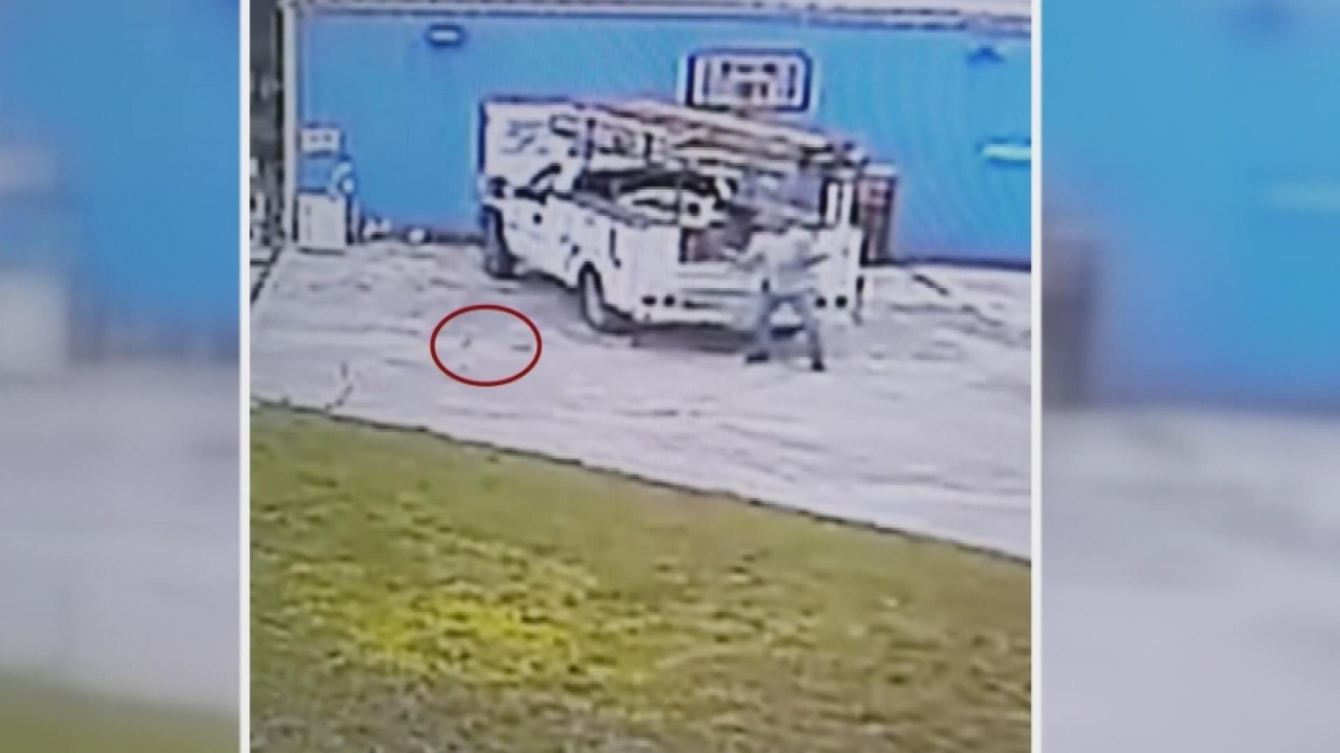 Caught on cam: Squirrel attacks Florida man - WNKY News 40 Television