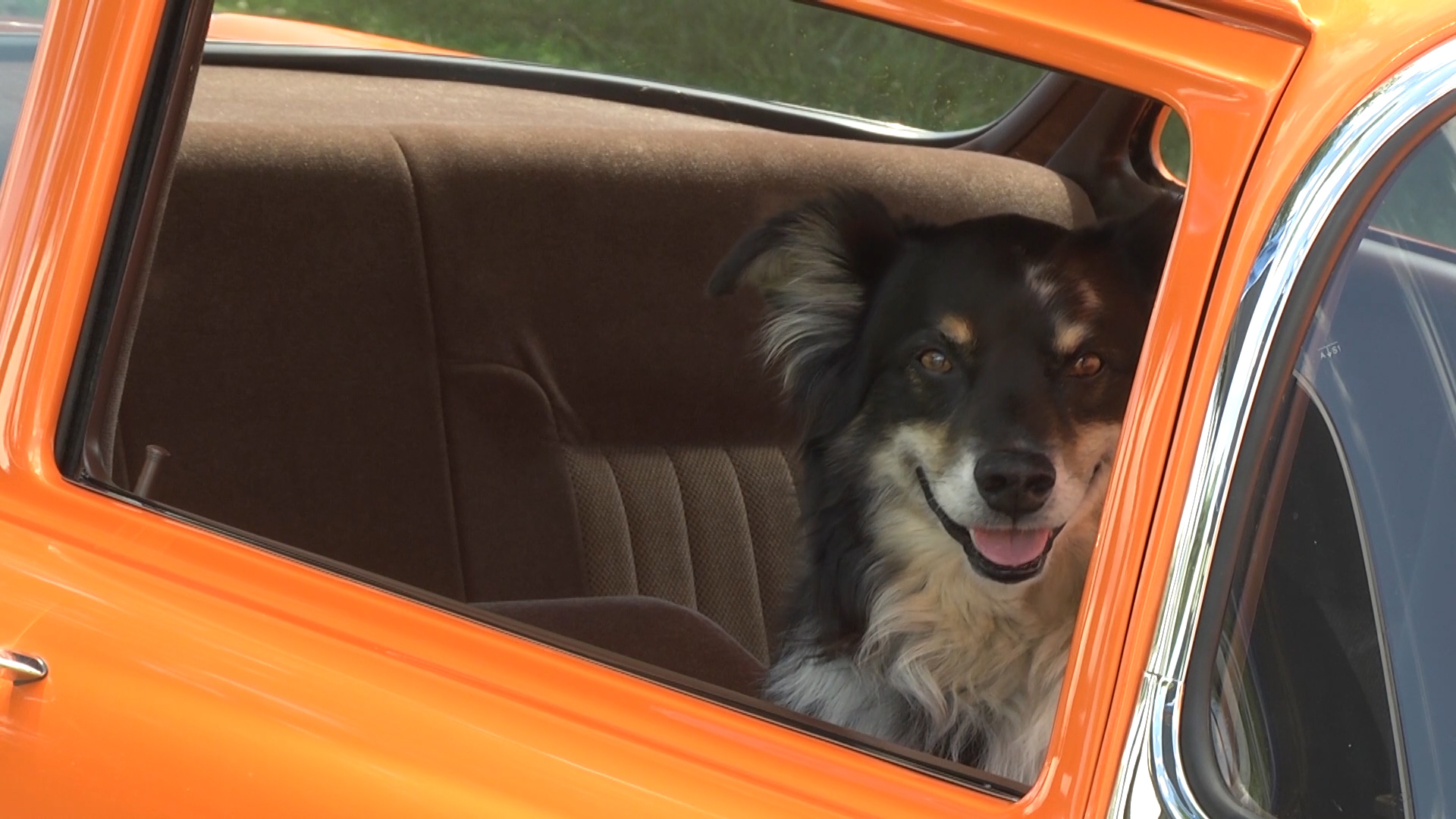 Fashion Friday - Driving in style - WNKY News 40 Television