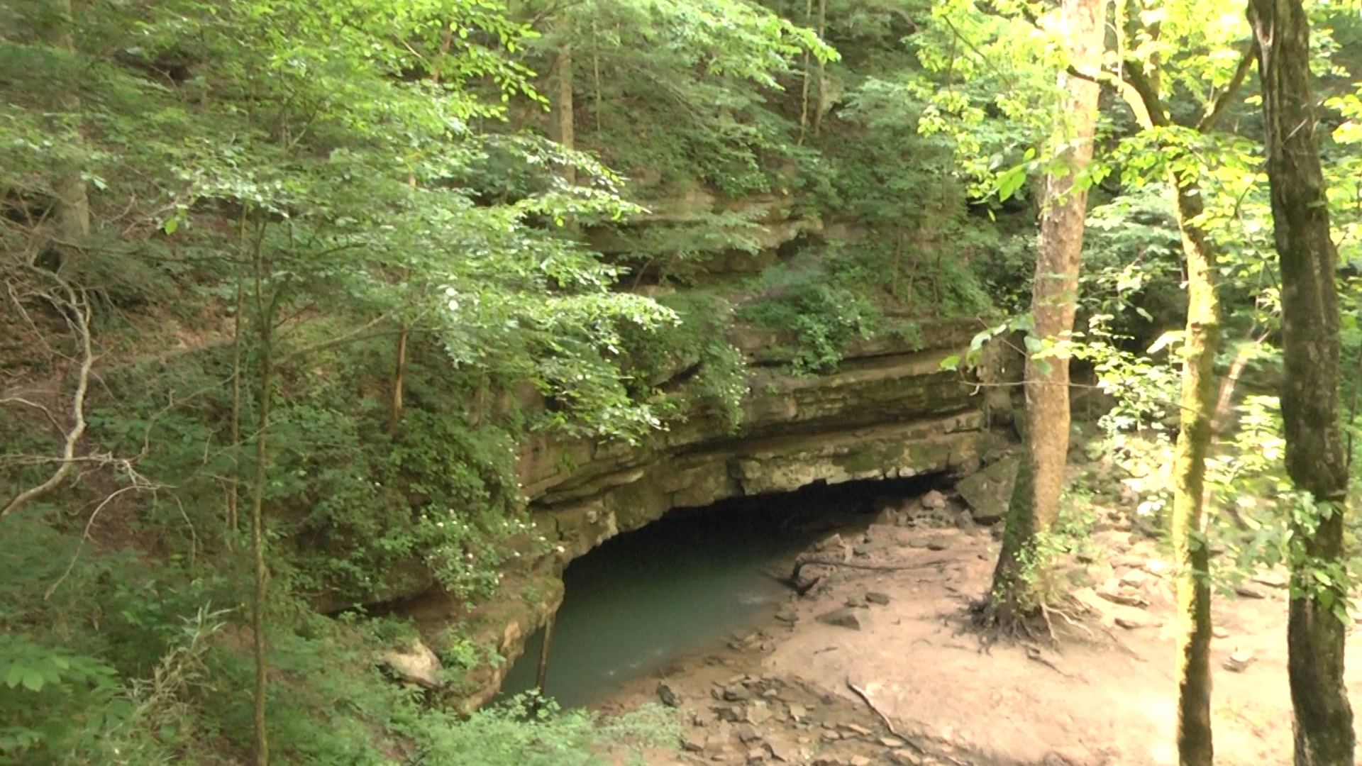 National Cave Day highlights importance of caves to environment, local ...