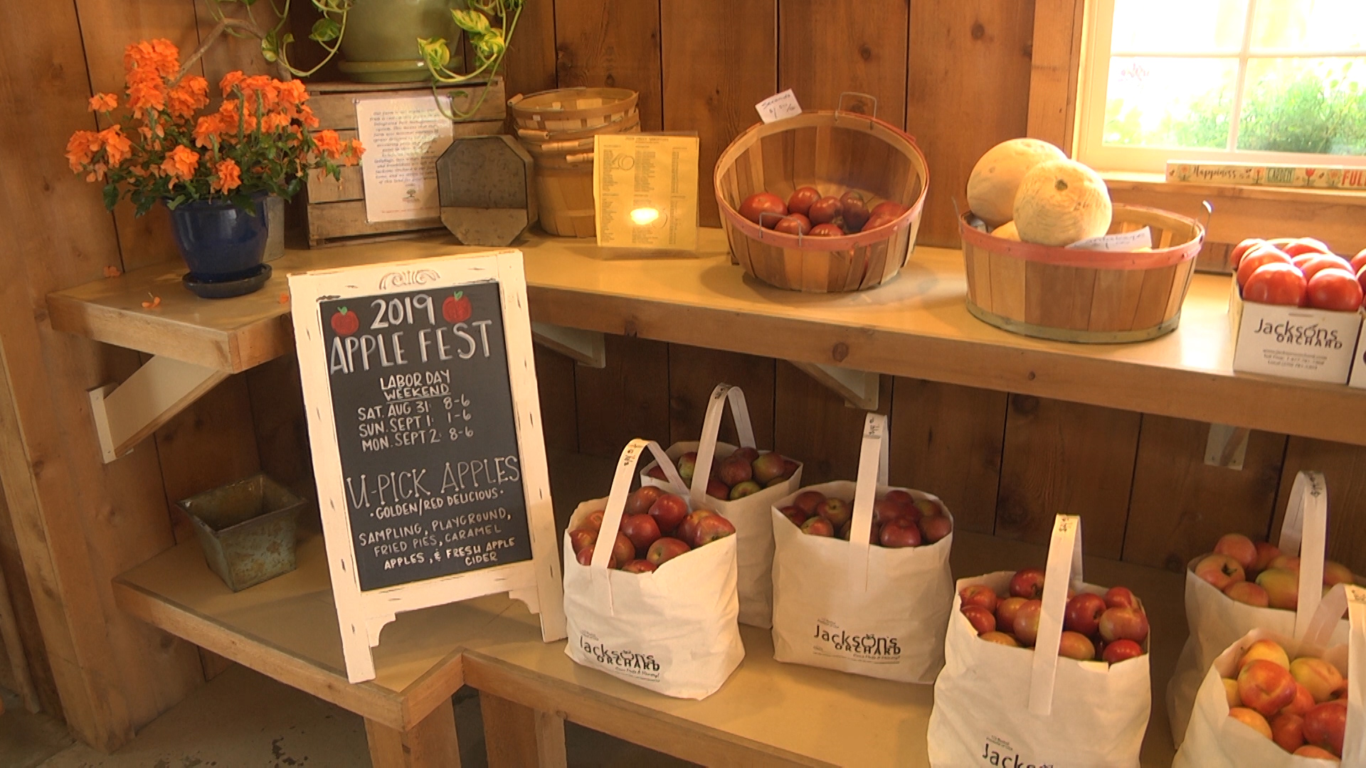 Jackson's Orchard gears up for annual Apple Festival - WNKY News 40 ...