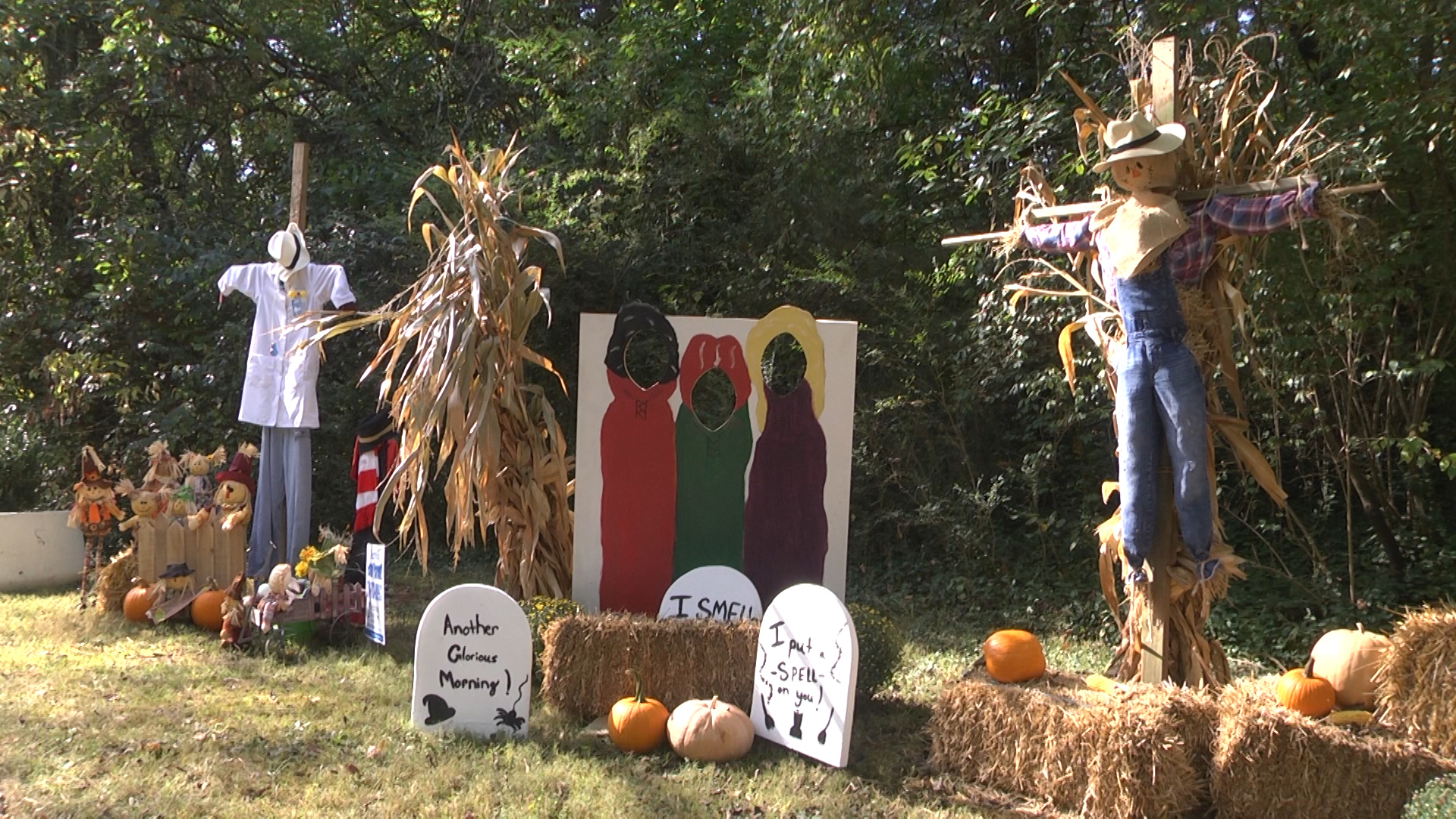 Scarecrow Trail returns to Lost River Cave - WNKY News 40 Television
