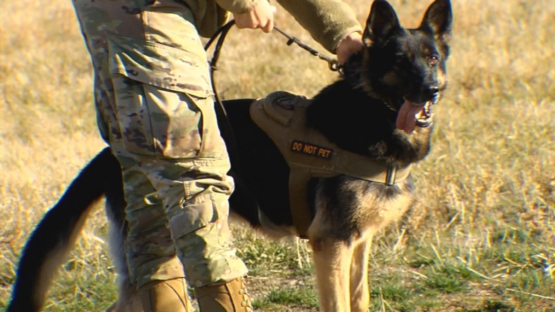 K9 heroes in training - WNKY News 40 Television