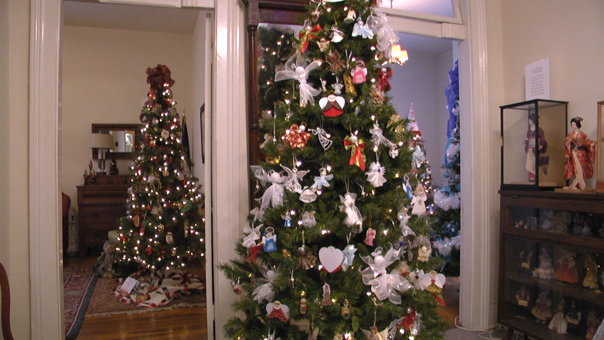 Different Christmas trees and the pros and cons - WNKY News 40 Television