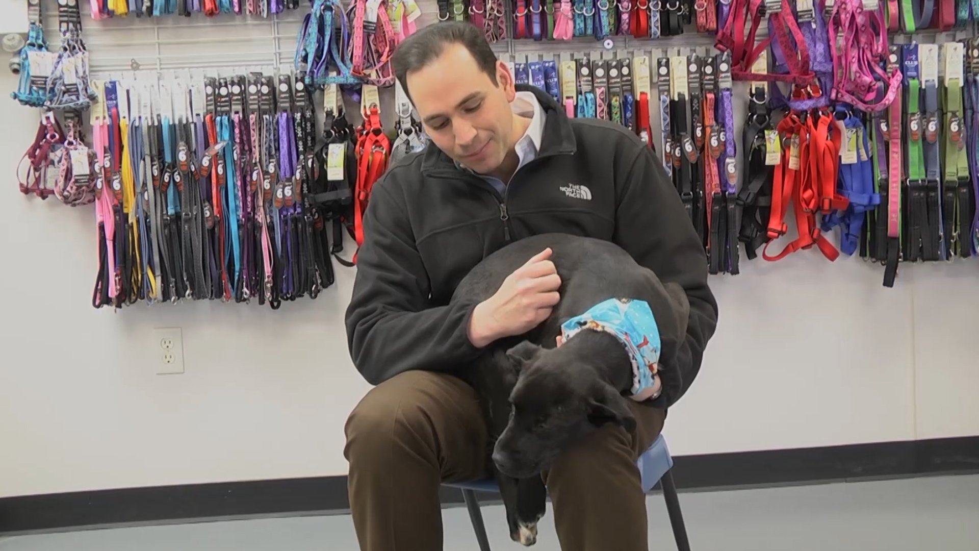 Pet of the Day - Simone - WNKY News 40 Television