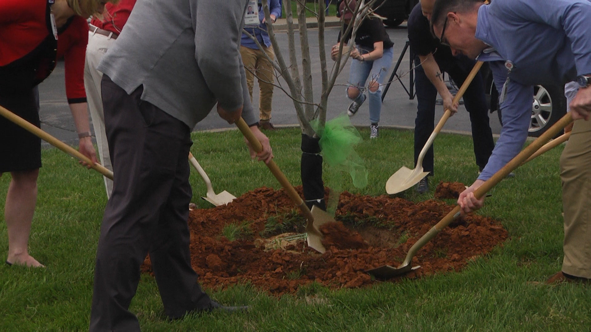 Local hospital plants tree dedicated to the hope for a strong future ...